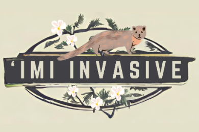 Myra Ortigosa | Professional Portfolio